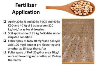 Soyabean ppt 3 | PPTX