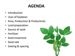 Soyabean ppt 3 | PPTX