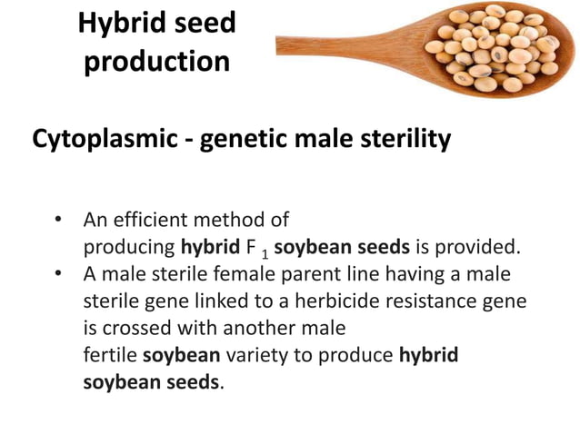 Soyabean ppt 3 | PPTX | Agriculture | Industries