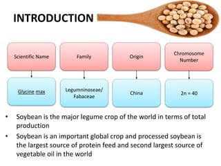 Soyabean ppt 3 | PPTX