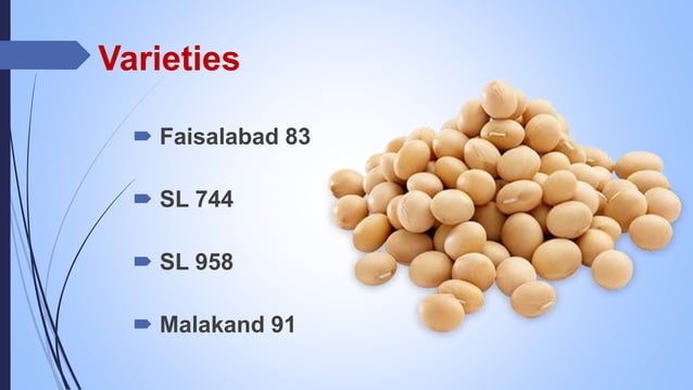 Soya bean | PPT
