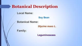 Soya bean | PPTX | Agriculture | Industries