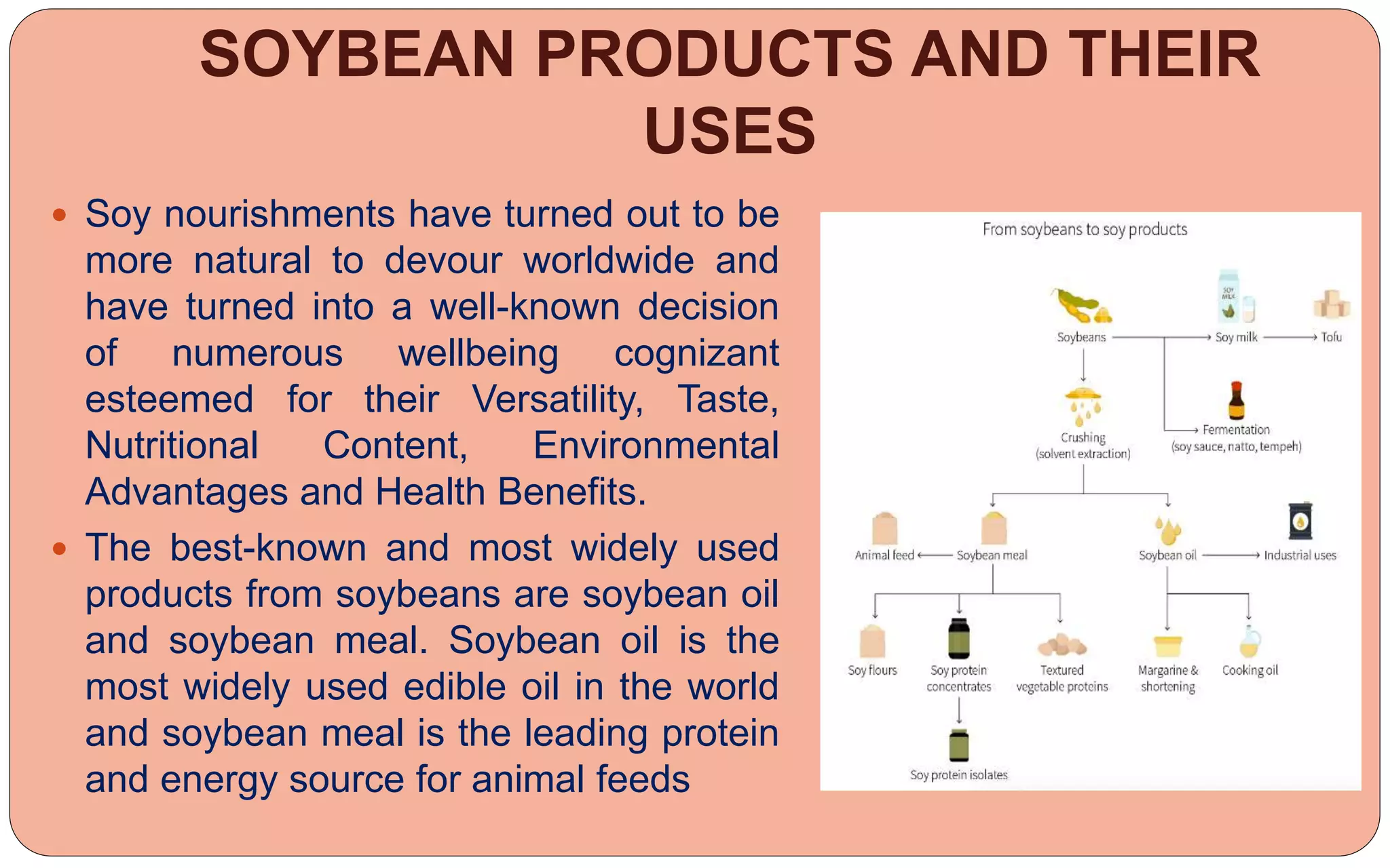 Soyabean ppt | PPTX