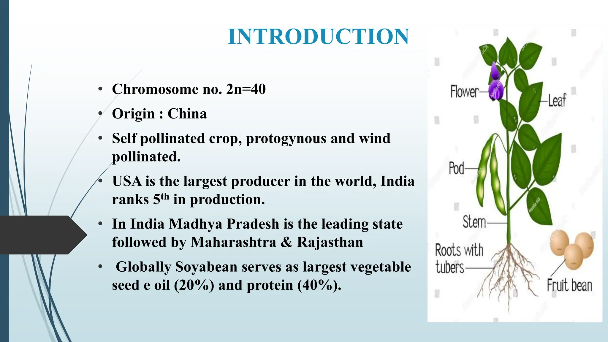 Soyabean Seed production and floral biology.pptx
