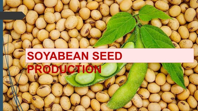 Soyabean Seed production and floral biology.pptx
