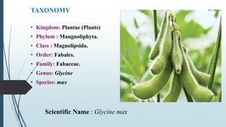 Soyabean Seed production and floral biology.pptx
