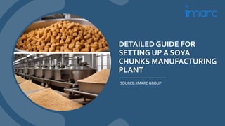 Soya Chunks Manufacturing Project Report 2024 Edition | PPTX