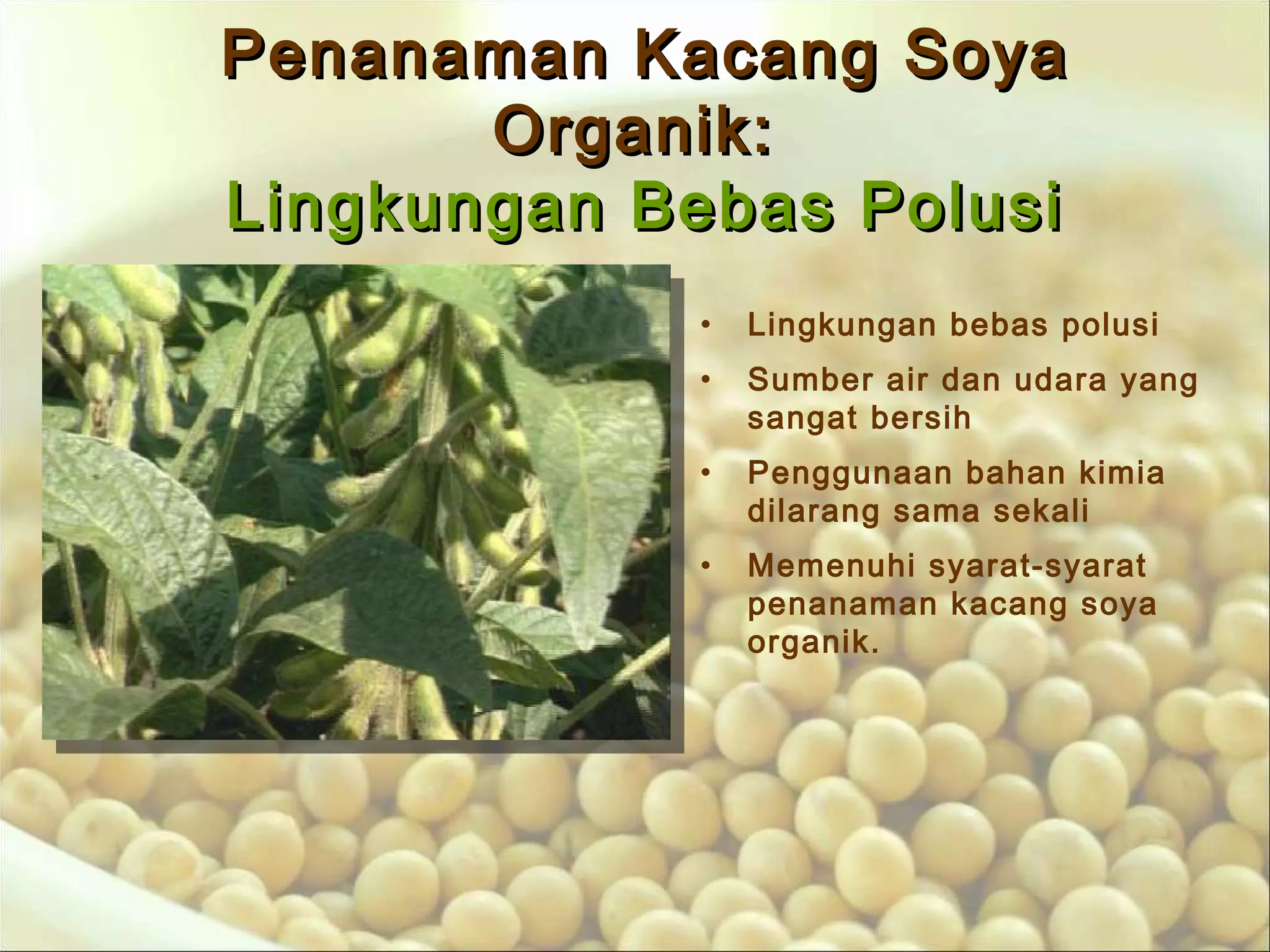 Soya Presentasi | PPT
