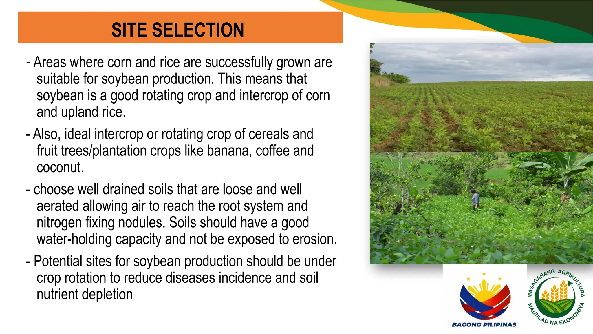 SOYBEAN PRODUCTION TECHNOLOGIES In the Philippines.pptx