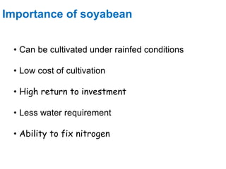 Soybean 521.ppt