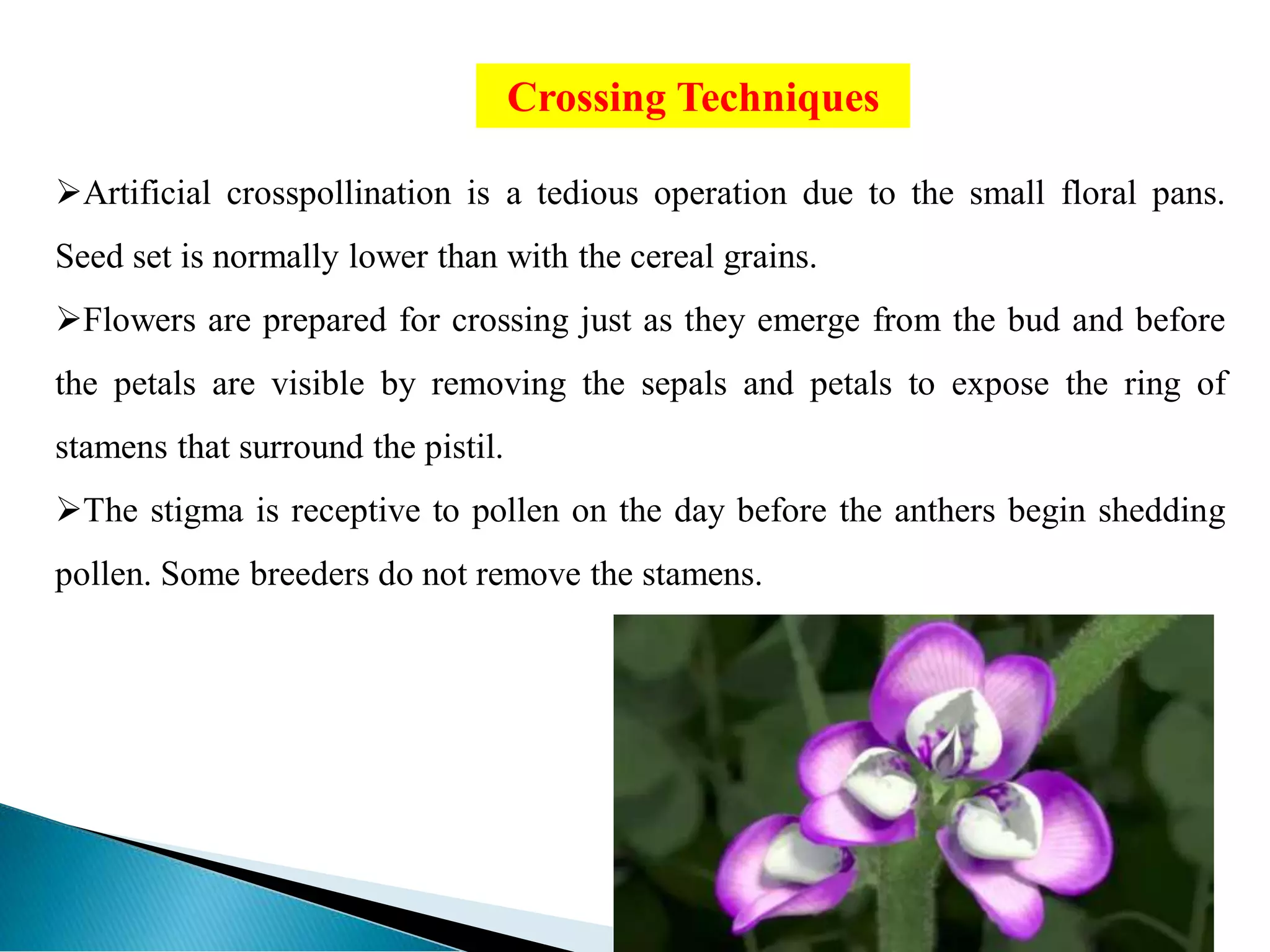 Soybean breeding | PDF