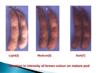 Soybean breeding | PDF