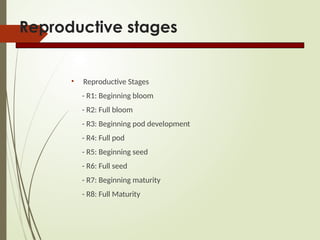 Soybeans Growths and Developmentsnt.pptx