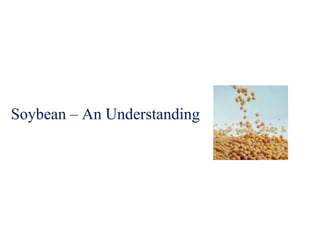 Soybean Industry In India.Ppt