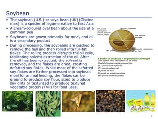 Soybean Industry In India.Ppt