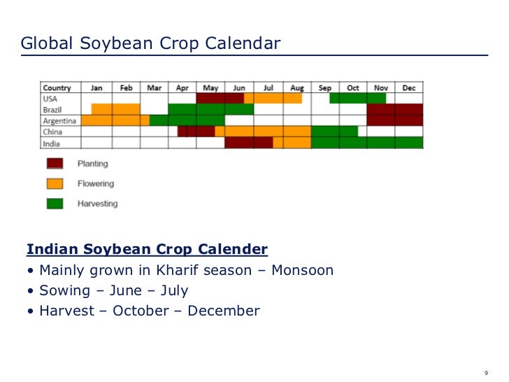 Soybean Industry In India.Ppt