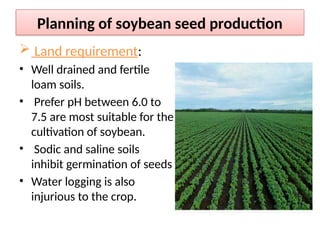 soybean seed production ( introduction).pptx