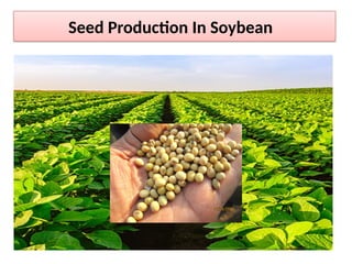 soybean seed production ( introduction).pptx