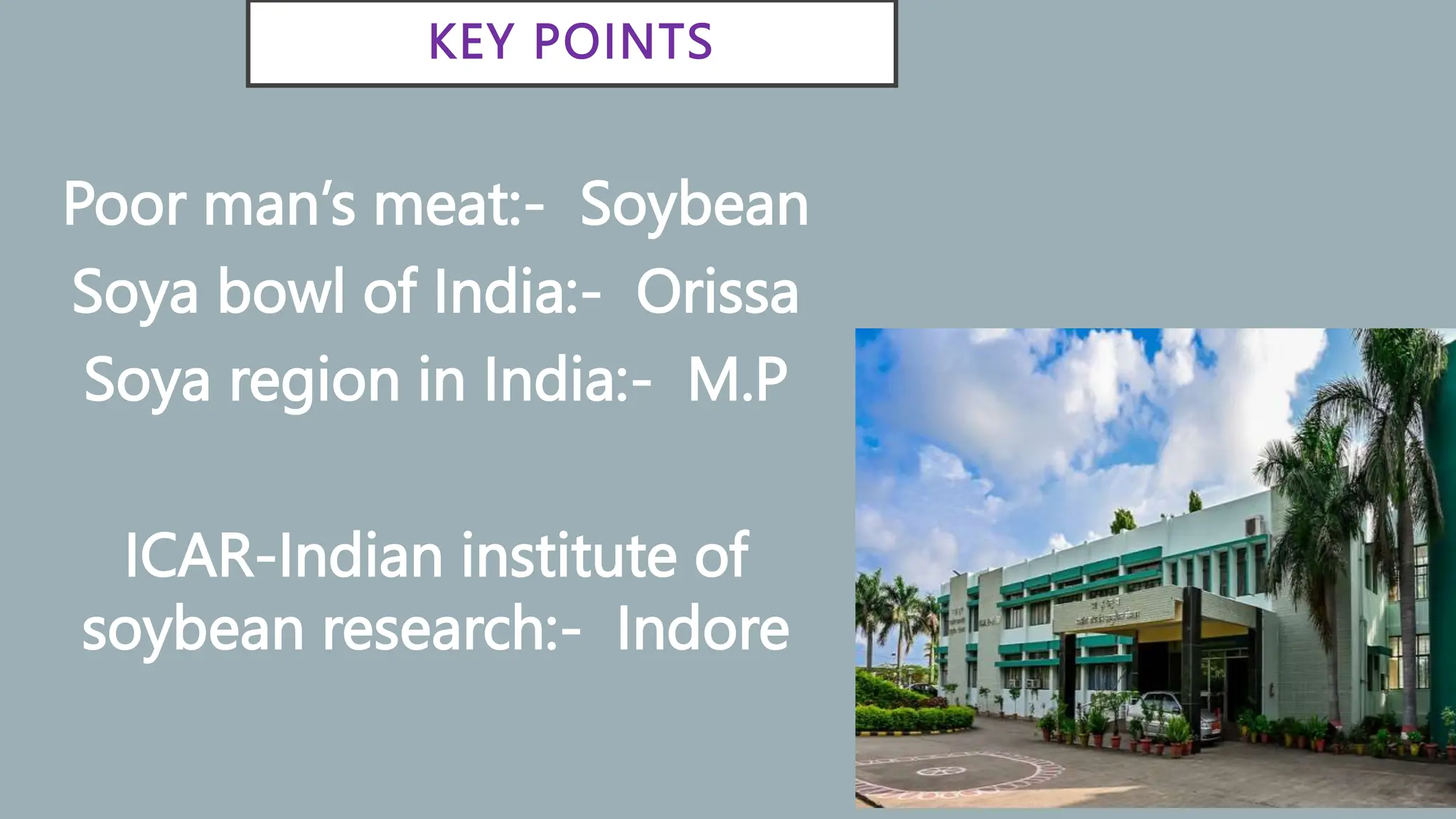soybean crop ppt by suraj Bhatkariya.pptx
