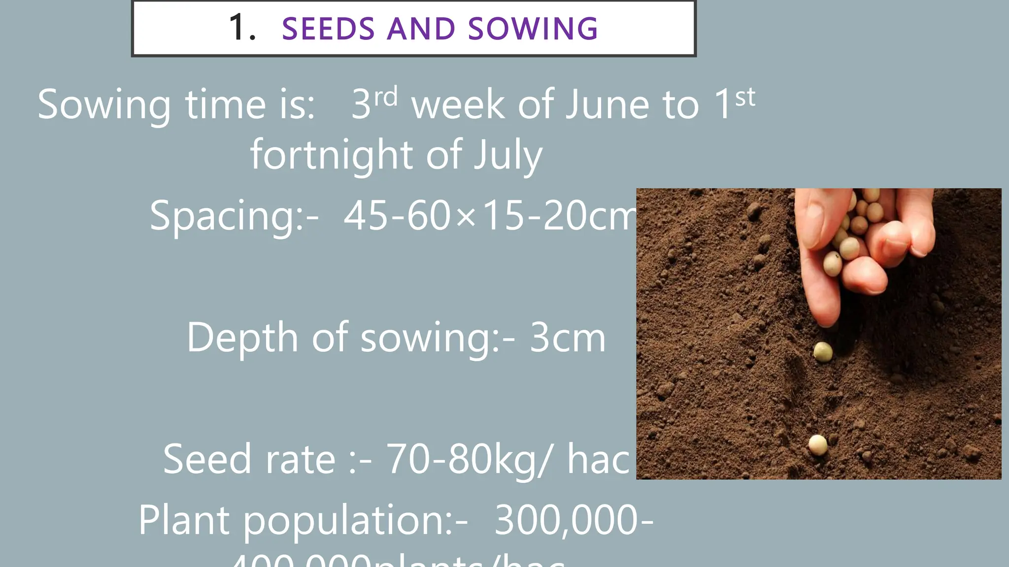 soybean crop ppt by suraj Bhatkariya.pptx