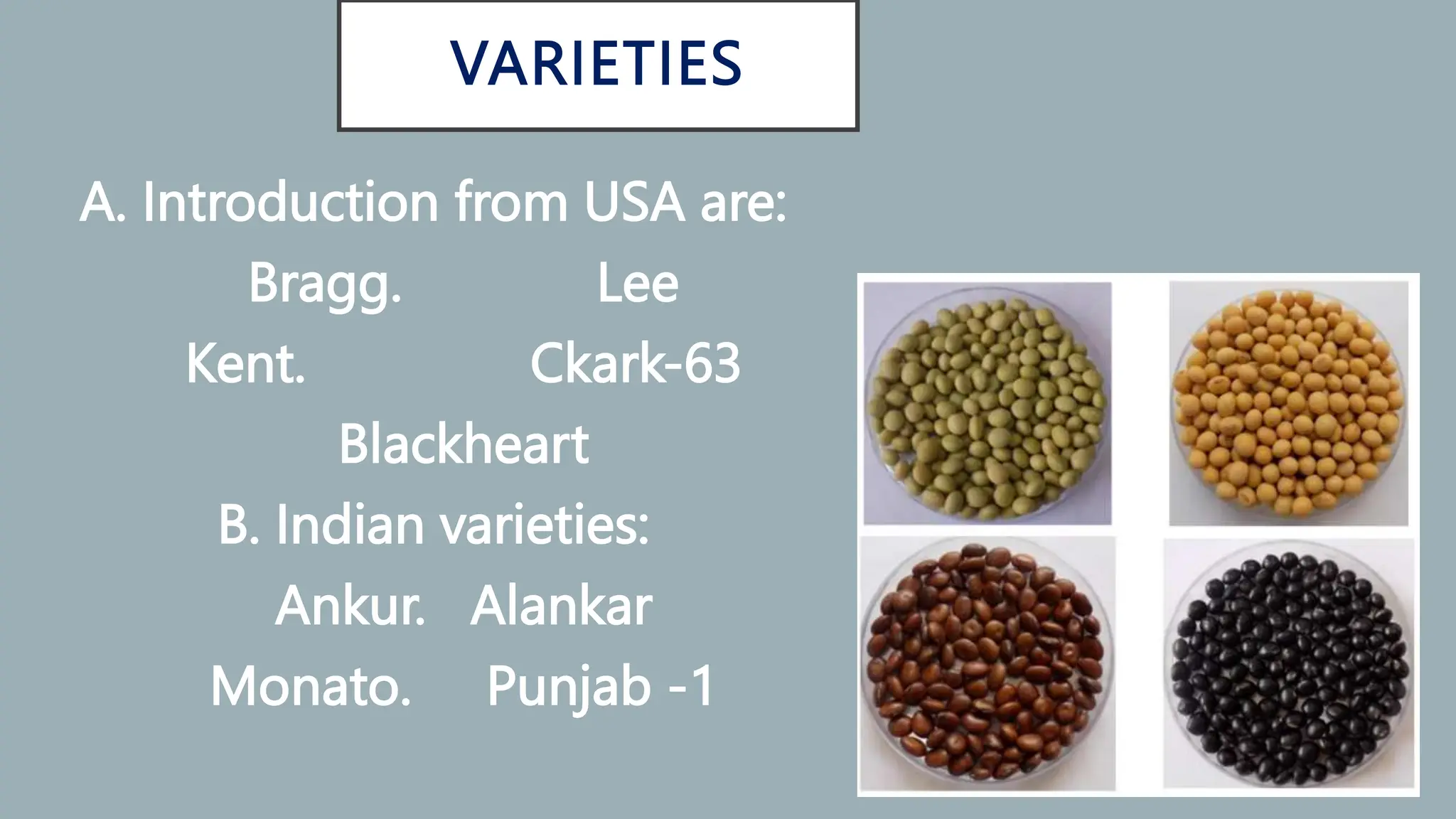 soybean crop ppt by suraj Bhatkariya.pptx
