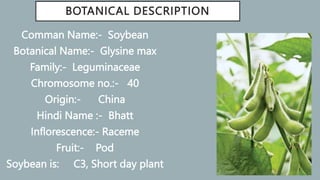 soybean crop ppt by suraj Bhatkariya.pptx