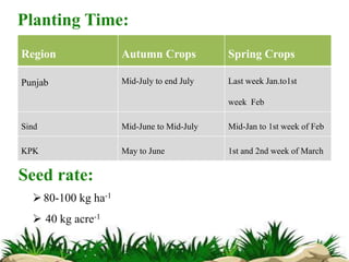 Soybean production technology saad | PPTX
