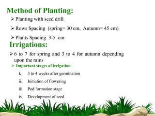 Soybean production technology saad | PPTX