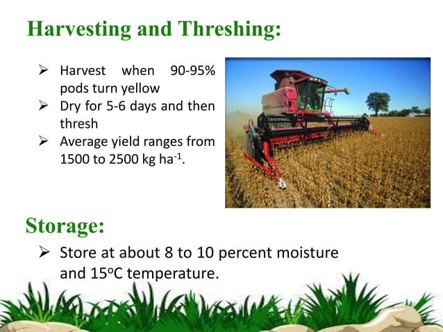 Soybean production technology saad | PPTX