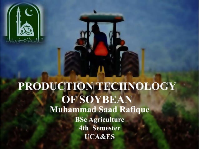 Soybean production technology saad | PPTX