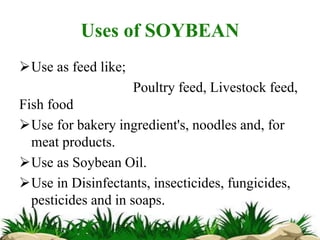 Soybean production technology saad | PPTX