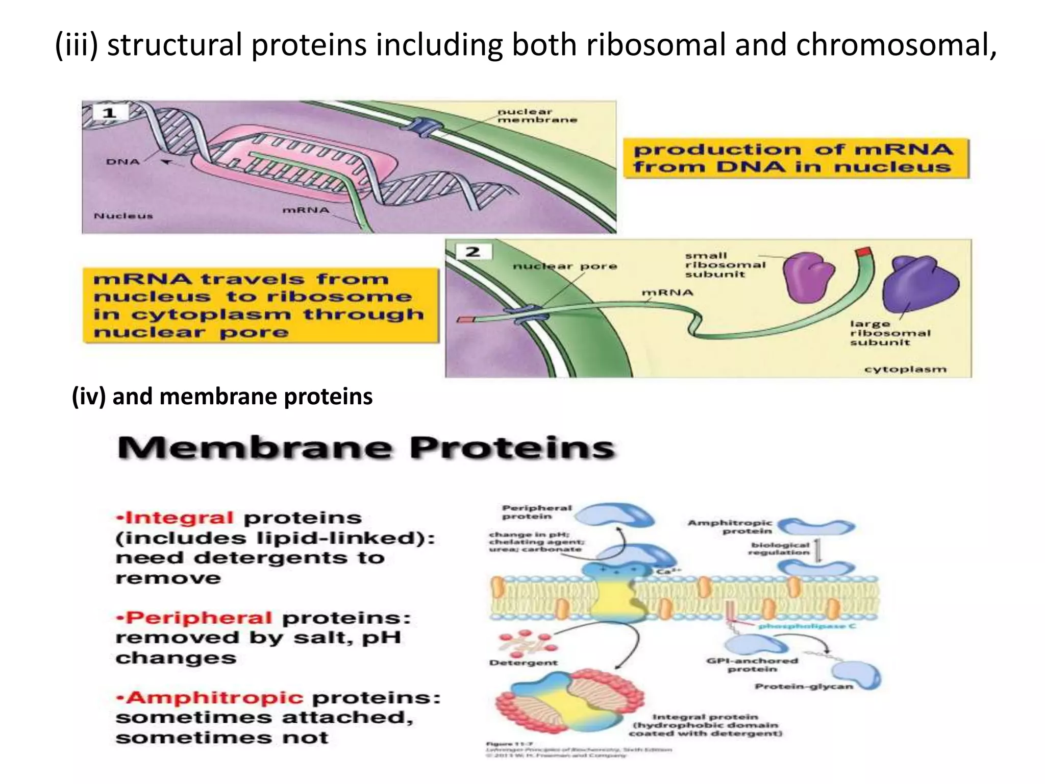 Soybean proteins | PPTX