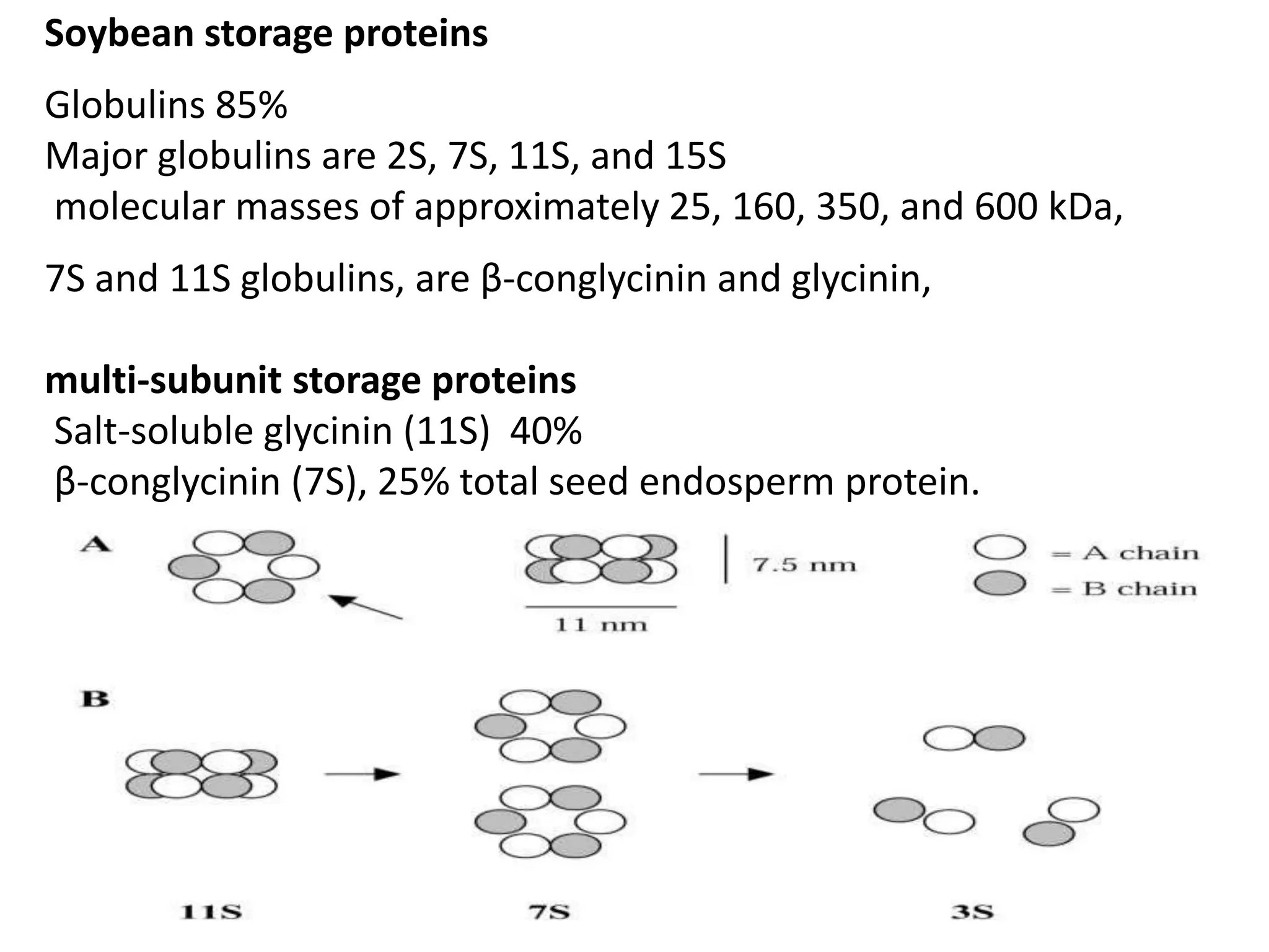 Soybean proteins | PPTX