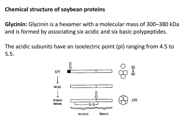Soybean proteins | PPTX