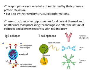 Soybean Protein Structure