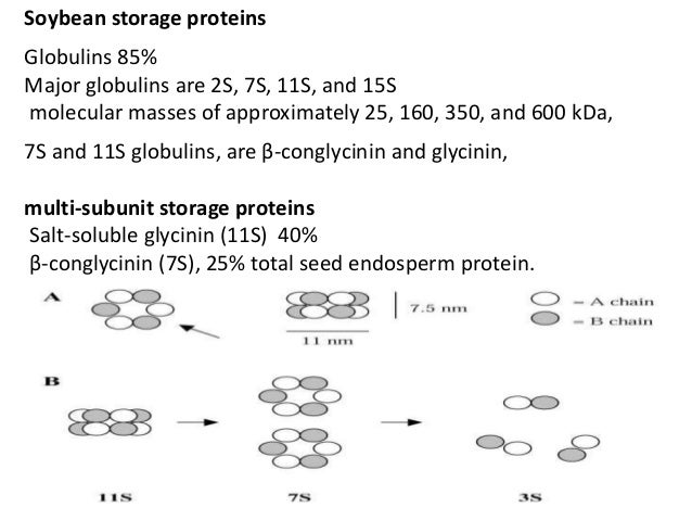 Soybean proteins