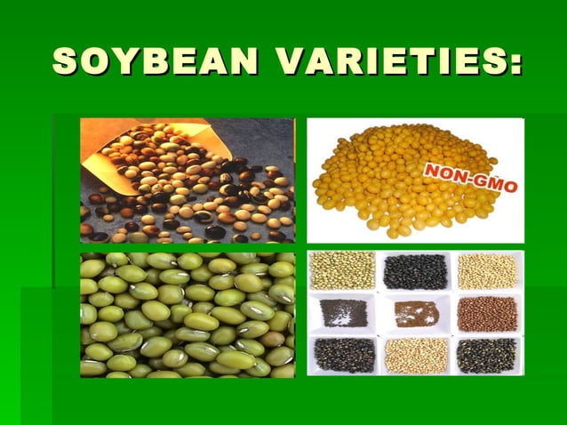 Soybeans | PPT
