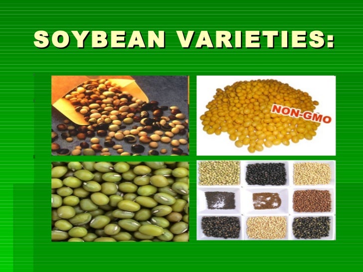 Soybeans