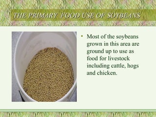 Soybeans | PPT
