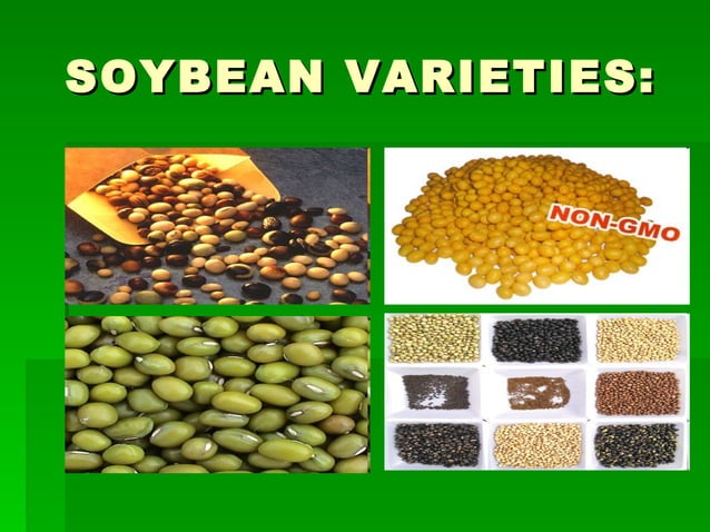 Soybeans[1] | PPT