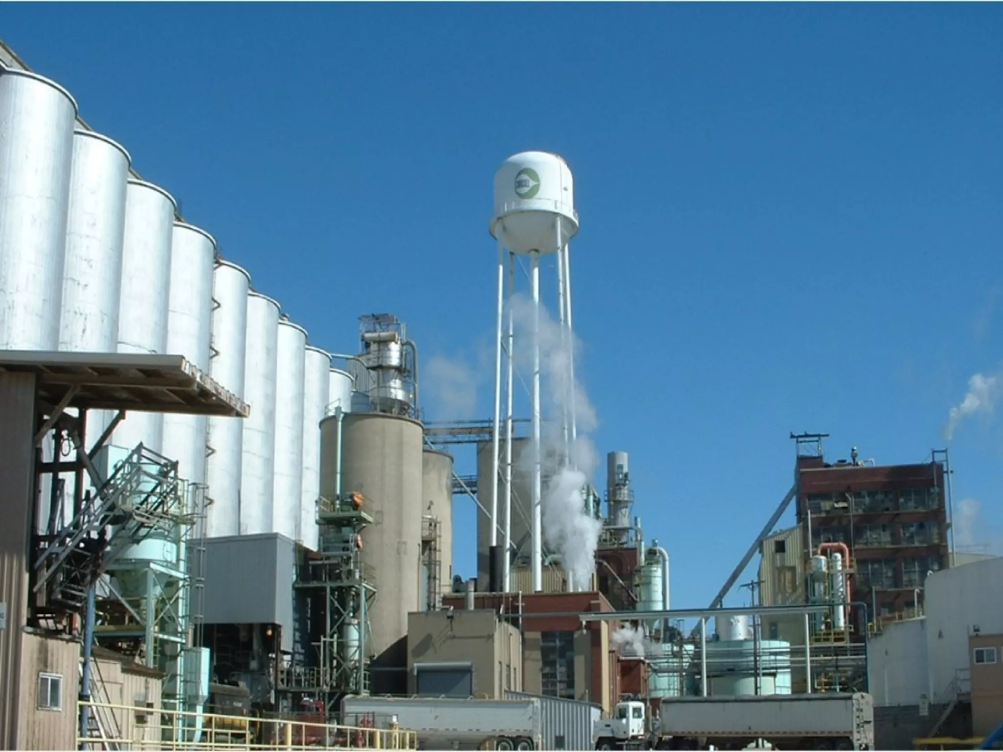 Soy Beans & The Pyramid | PPT