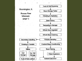 Soy Beans & The Pyramid | PPT
