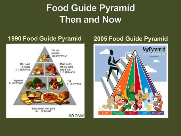 Soy Beans & The Pyramid | PPT