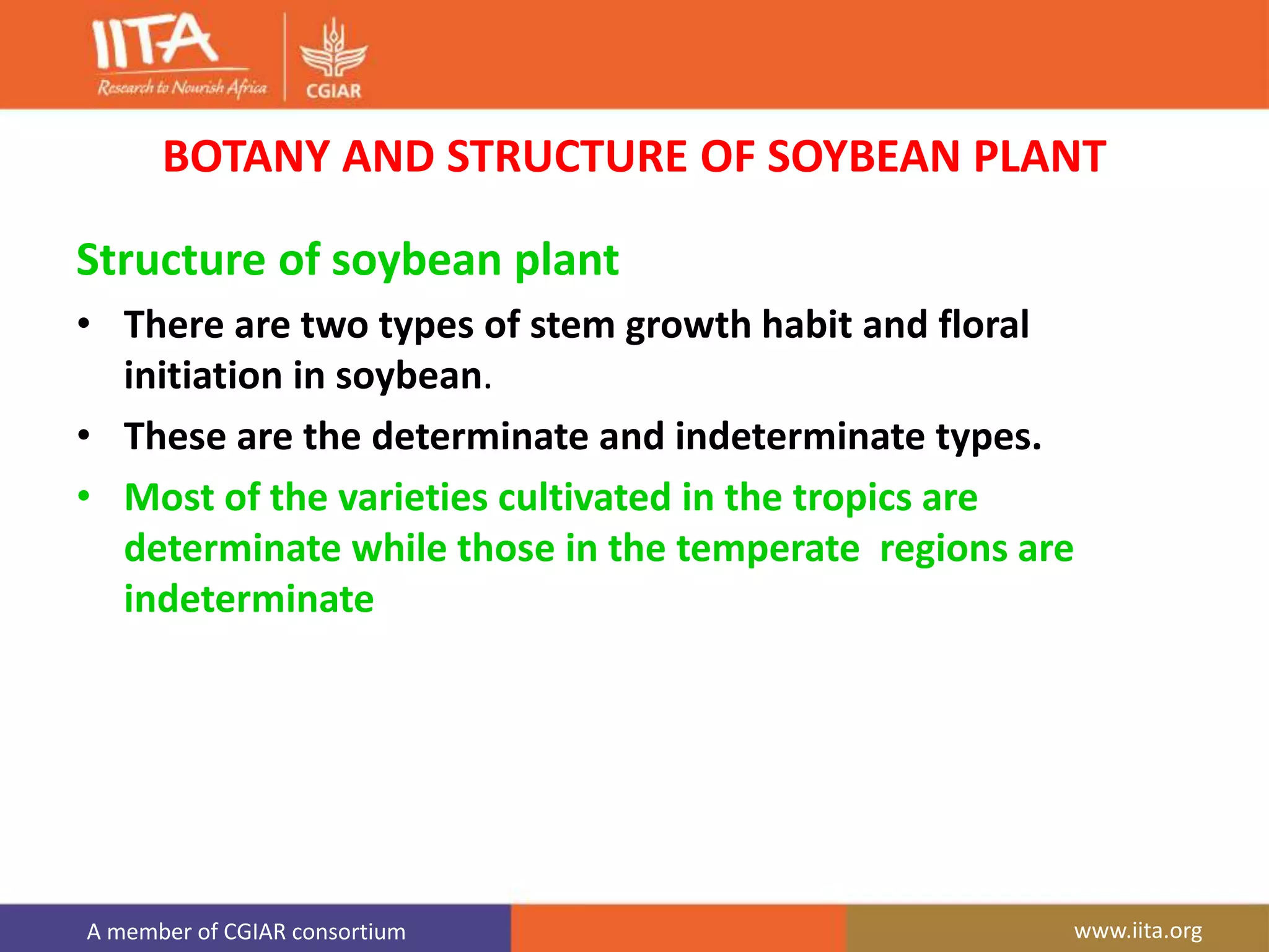 Morphology and Physiology of Soybean | PPTX