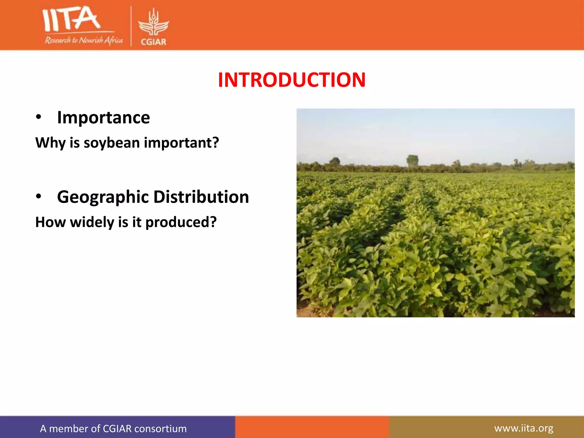 Morphology and Physiology of Soybean | PPTX