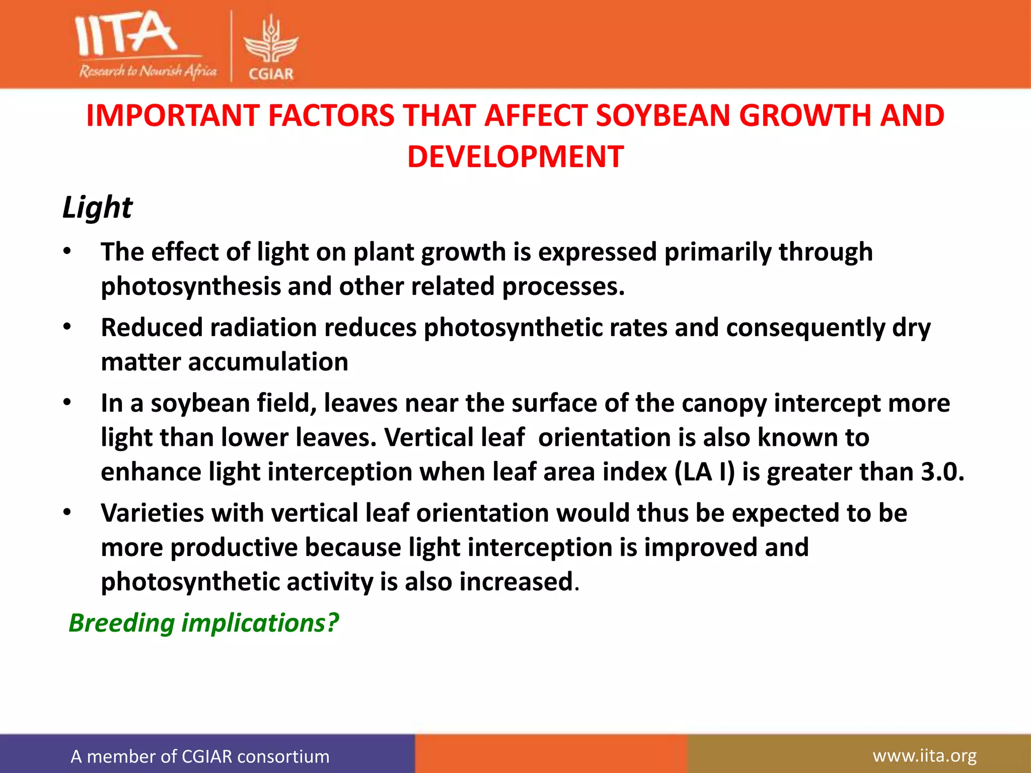 Morphology and Physiology of Soybean | PPTX