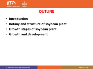 Morphology and Physiology of Soybean | PPTX