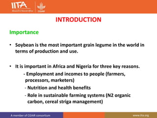 Morphology and Physiology of Soybean | PPTX