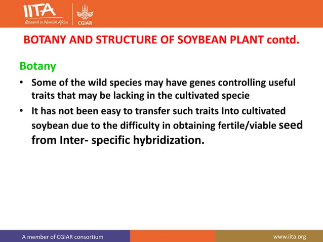 Morphology and Physiology of Soybean | PPTX | Agriculture | Industries