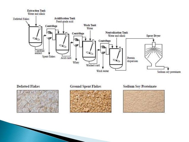 Soy protein isolate | PPT